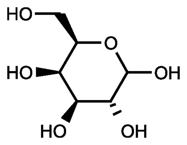 D-Galactose (White to Off-white Powder), Fisher BioReagents Poly Bottle;