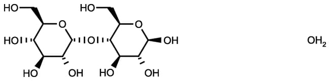D-(+)-Maltose Monohydrate, Fisher BioReagents Poly Bottle; 500g:Chemicals
