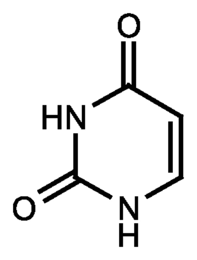 Uracil Formula Structure