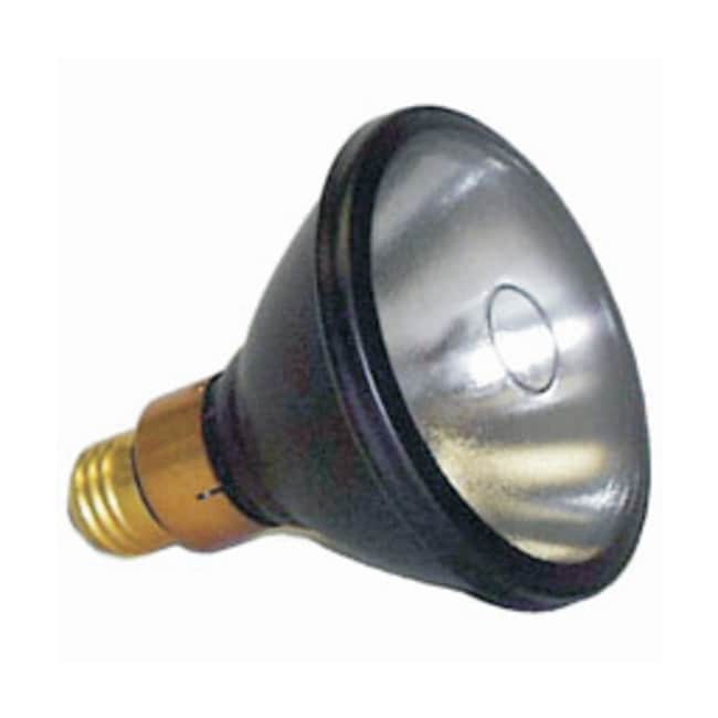 Spectroline Replacement Bulb 100 W | Buy Online | Spectroline™ | Fisher ...