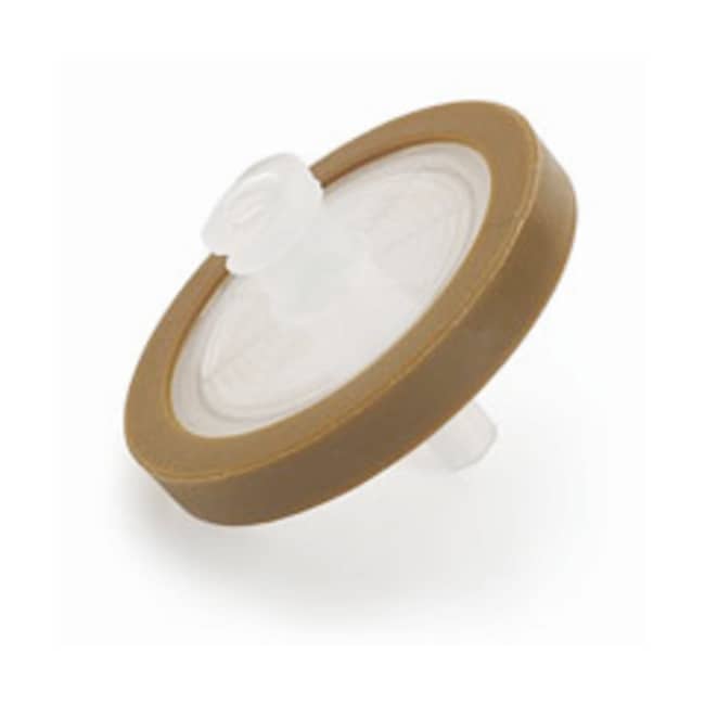 Restek™ Syringe Filters with Luer-Lok™ Inlet | Fisher Scientific