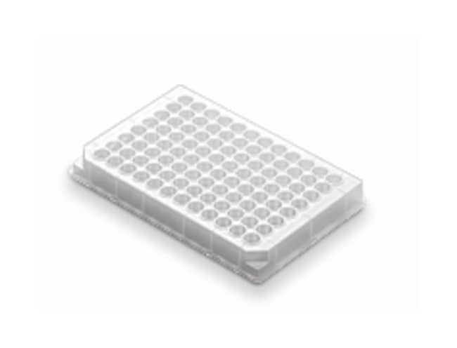 Axygen™ Storage Microplates 96-well assay; V-bottom plate; Blue; 500μL ...