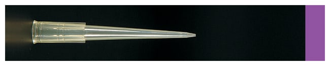 Axygen™ 200μL Universal Pipette Tips: 200μL, Beveled | Fisher Scientific