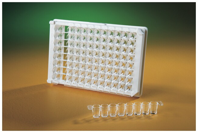 Invitrogen IFN beta Mouse ELISA Kit 96 Tests:Immunoassay Reagents and ...