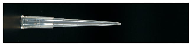 Axygen 200 L Universal Pipetter Tips: 200 L, Beveled, Reference Racked ...