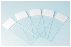 Mercedes Medical StarFrost Slides:Microscope Slides:Glass Microscope ...