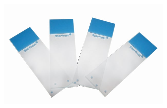 Mercedes Medical StarFrost Slides Edge: Straight; 90deg.; Color: Blue ...