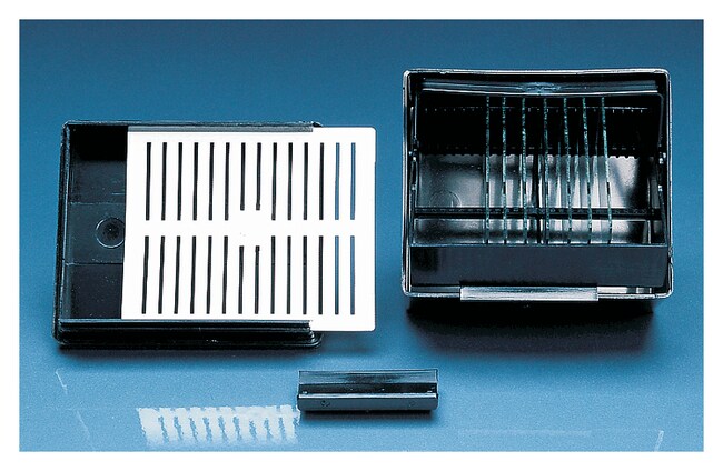 BrandTech Slide Staining Rack Slide staining rack:Microscopes, Slides ...