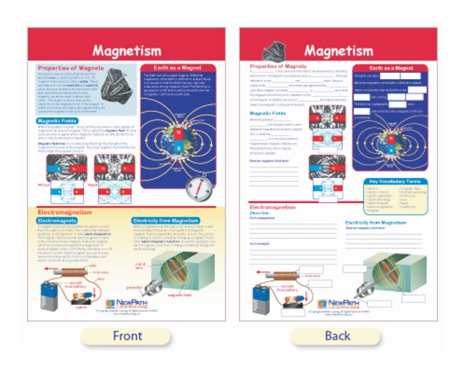 NewPath Learning Physics and Chemistry Bulletin Board Charts:Education ...