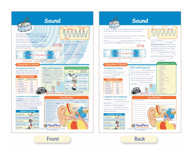 NewPath Learning Physics and Chemistry Bulletin Board Charts:Education ...