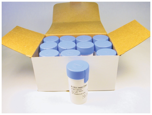 Cytiva M13KO7 Helper Phage M13KO7 Helper Phage Vector; 100μL products ...