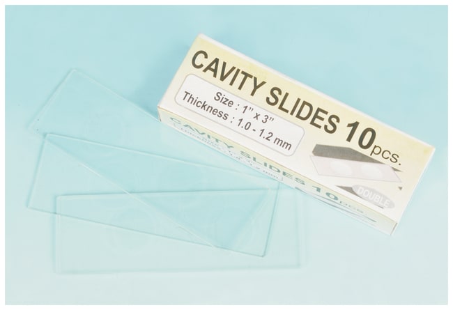 Eisco Concavity Microscope Slides Double concavity slides:Teaching ...