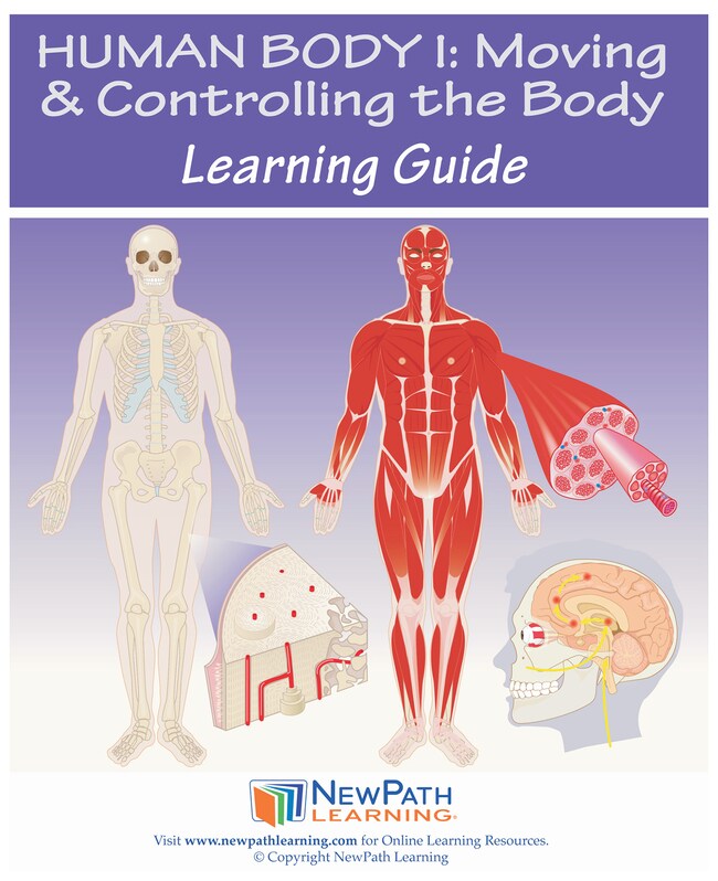 Middle School NGSS Human Body 1: Moving and Controlling Body Learning ...