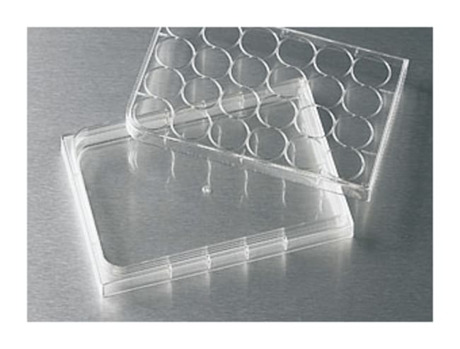 Corning™ Costar™ HTS Transwell™ Cell Culture Plate | Fisher Scientific