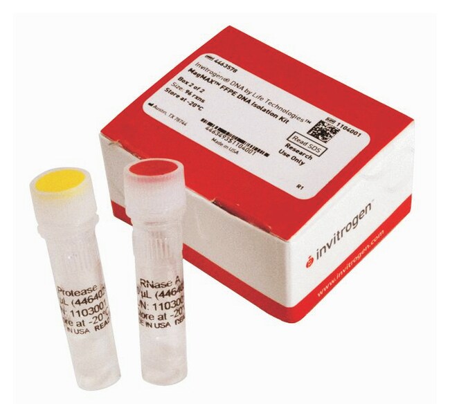 Invitrogen™ Magmax™ Ffpe Dna Isolation Kit 96 Preps Rna Preparation And