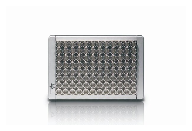 Invitrogen™ Applied Biosystems™ Magnetic-Ring Stand | Fisher Scientific