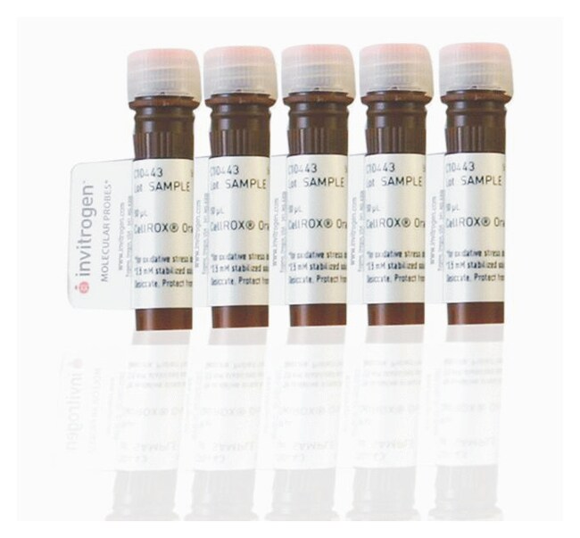 Invitrogen™ Molecular Probes™ CellROX Orange Reagenz 5 x 50uL AP ...