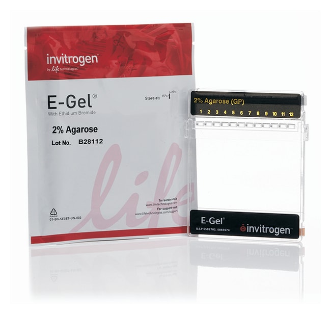 Invitrogen™ E-Gel™ General Purpose Agarose Gels, 2% 18 gels Gels d ...