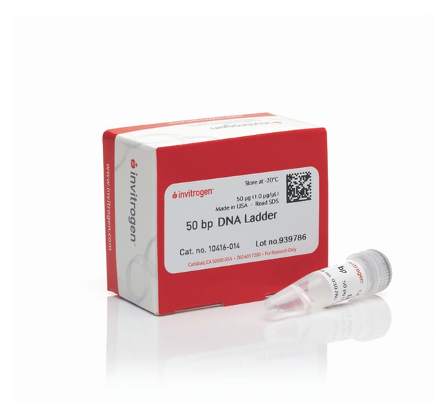 Invitrogen™ 50 bp DNA Ladder | Fisher Scientific