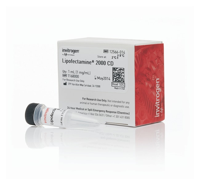 Invitrogen Lipofectamine 2000 CD Transfection Reagent 1mL:Life Sciences | Fisher Scientific