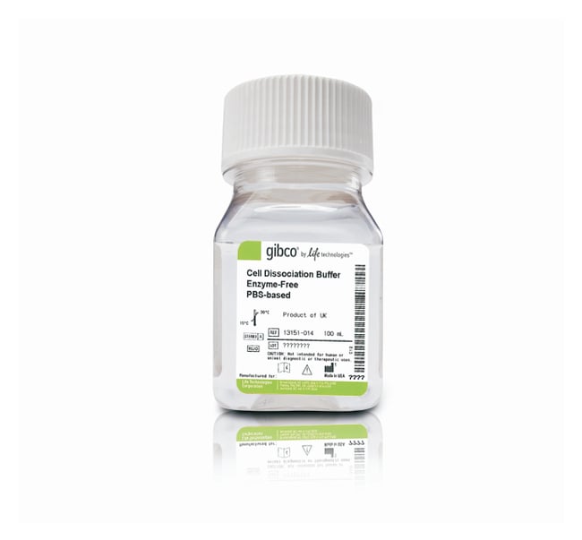 Gibco™ Cell Dissociation Buffer, Enzyme-Free, PBS 100mL Milieux de ...