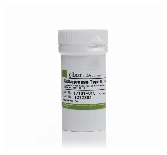 Gibco™ Collagenase, Type II, Powder 1g Cell Culture Media | Fisher ...