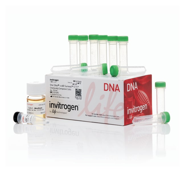 Invitrogen One Shot ccdB Survival 2 T1R Competent Cells 10 ...