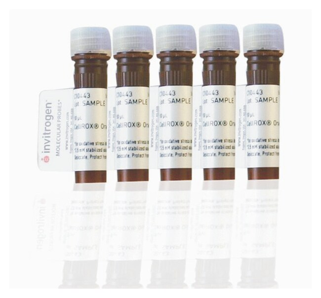 Invitrogen Molecular Probes CellROX Green Reagent 5 x 50uL ...