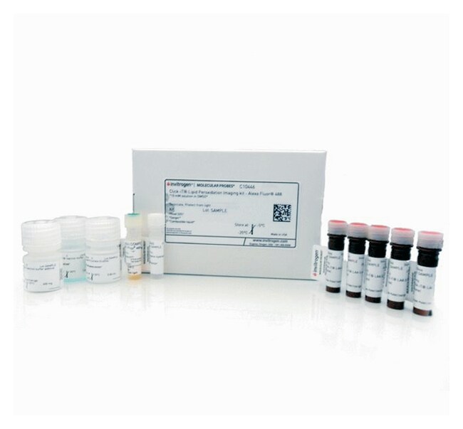 Invitrogen Molecular Probes Click-iT Lipid Peroxidation Imaging Kit ...