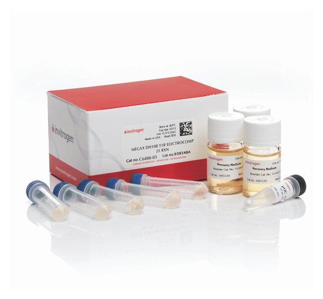 Invitrogen DH10B Electrocomp MegaX DH10B T1R Electrocomp Cells 25 ...