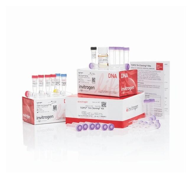 Invitrogen™ TOPO™ TA Cloning™ Kit for Subcloning, with TOP10 E. coli ...