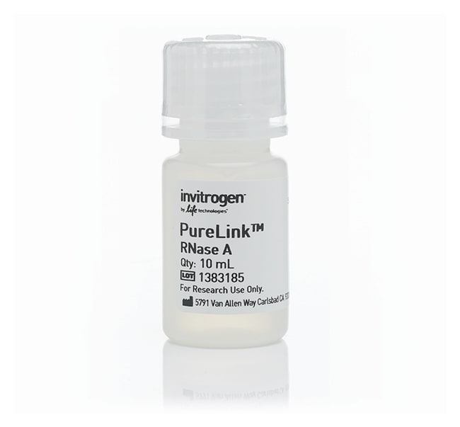 Invitrogen UltraPure RNase A (20mg/mL) 10mL:Life Sciences | Fisher ...