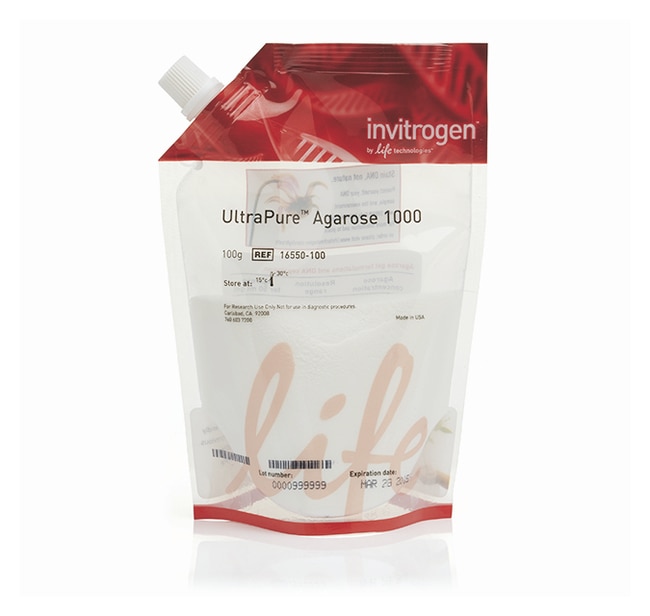 Invitrogen™ UltraPure™ UltraPure Agarose-1000 100g DNA Extraction and ...