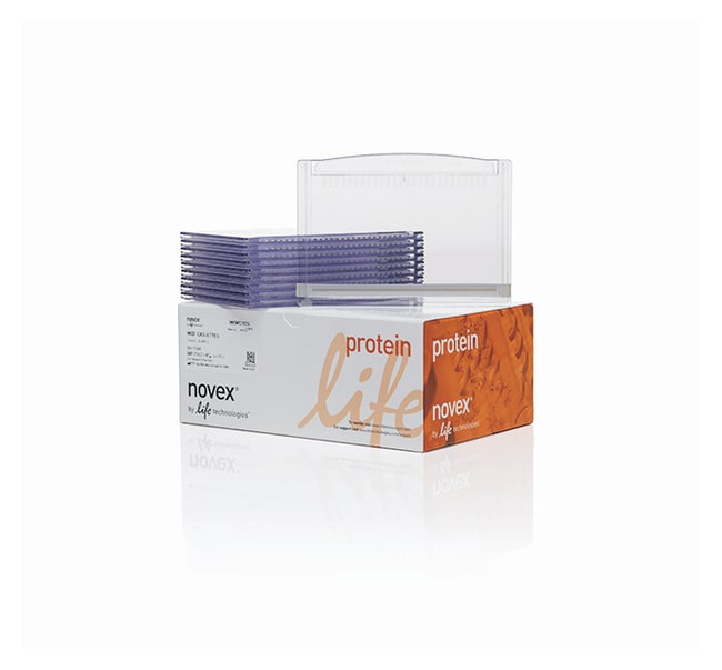 Invitrogen™ Novex™ leere Gel-Kassetten mit Kämmen, Midi, 26 -Well Empty ...