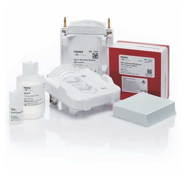 Invitrogen Novex Bolt Western Pack A (Nitrocellulose) Western Pack A ...