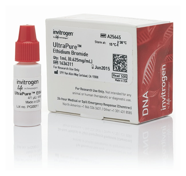 Invitrogen™ UltraPure™ Ethidiumbromid, 0.625 mg/ml Ethidium Bromide ...