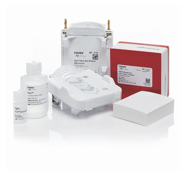 Invitrogen Novex Bolt Western Pack B (PVDF) Western Pack B (PVDF ...