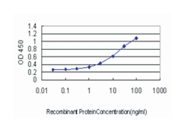 Abnova Corporation HBB, Mouse, Clone: 2H3, Abnova™ | Fisher Scientific