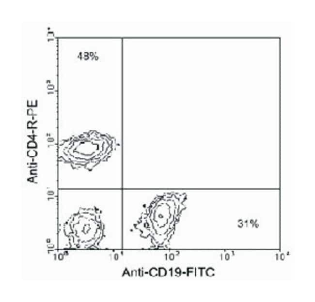 CD19, Rat, SPRD, Clone: 6D5, Abnova 100μg; SPRD:Anticuerpos | Fisher ...