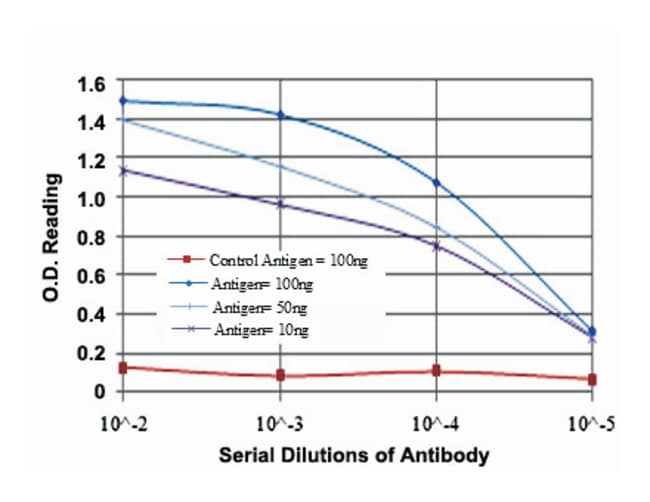 ANTI-ACTA2 ANTIBODY 100UL