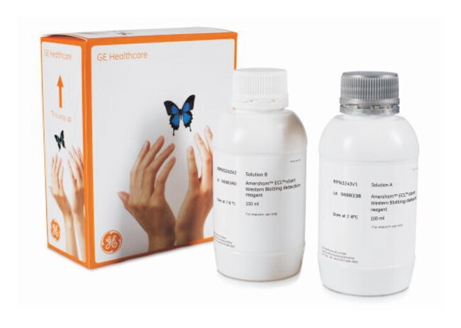 CytivaAmersham ECL Western Blotting Detection Reagents For 4000cm 2 ...