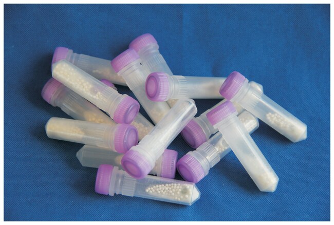 MP Biomedicals™ Lysing Matrix E, 2mL tubes 500 x 2mL tubes Products ...