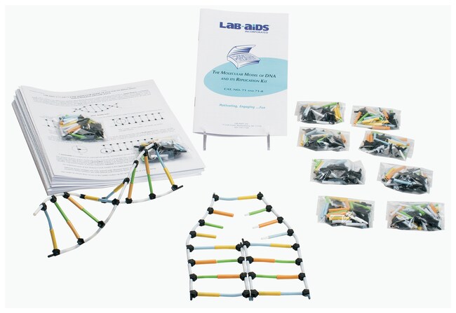 Lab-Aids Molecular Model of DNA and its Replication Molecular Model of ...