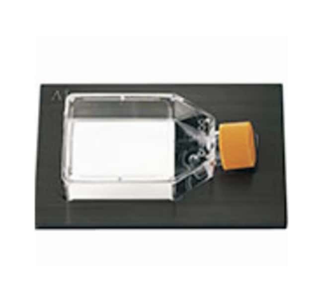 Agilent BioTek T25 Cell Culture Flask Adapter for Imaging Multi-Mode ...