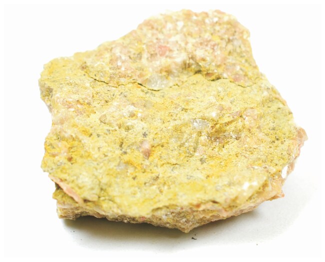 EISCO Fossiliferous Limestone Specimen (Sedimentary Rock) :Teaching ...