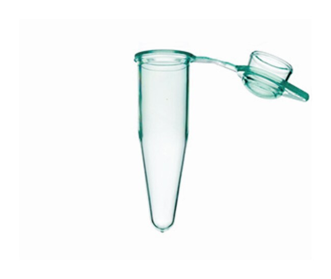Greiner Bio-One Sapphire 0.2 mL PCR Tubes with Attached Domed Cap Green ...