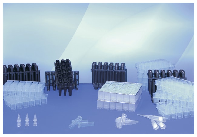 MP Biomedicals™ MPure™ Blood DNA Extraction Kit 200 | Fisher Scientific