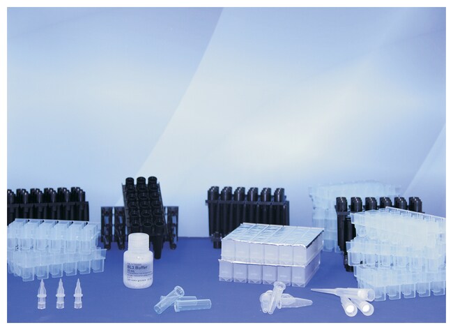 MP Biomedicals™ MPure™ TB DNA Extraction Kit | Fisher Scientific