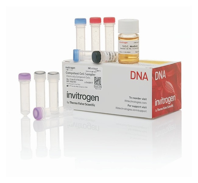 Invitrogen Competent Cell Sampler 8 transformations:Life Sciences ...