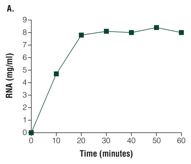 Promega RiboMAX™ Large Scale RNA Production Systems | Fisher Scientific